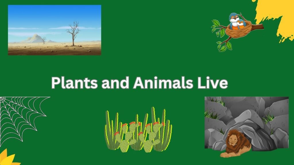 Where Do Plants and Animals Live | Worksheet | Learn with Ashaz